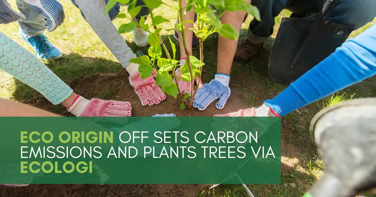 Eco Origin Off Sets Carbon Emissions And Plants Trees - Eco Origin